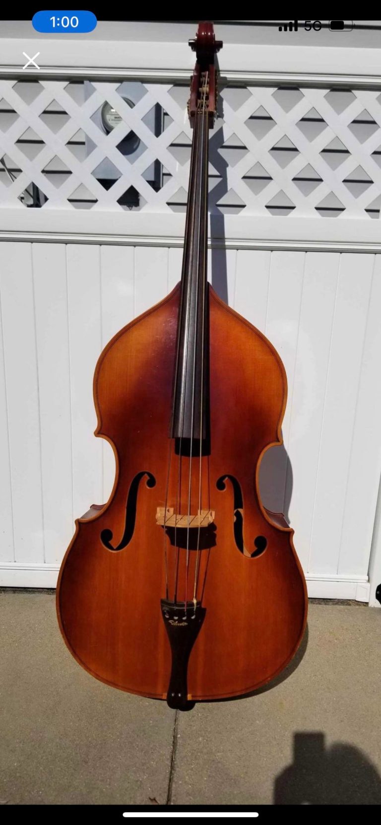 Bass of the Month - The Kay Bass and Cello Registry